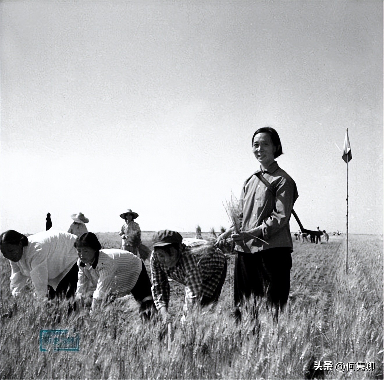 Three teams during the Three Summers in Fuyang Town during the People's ...