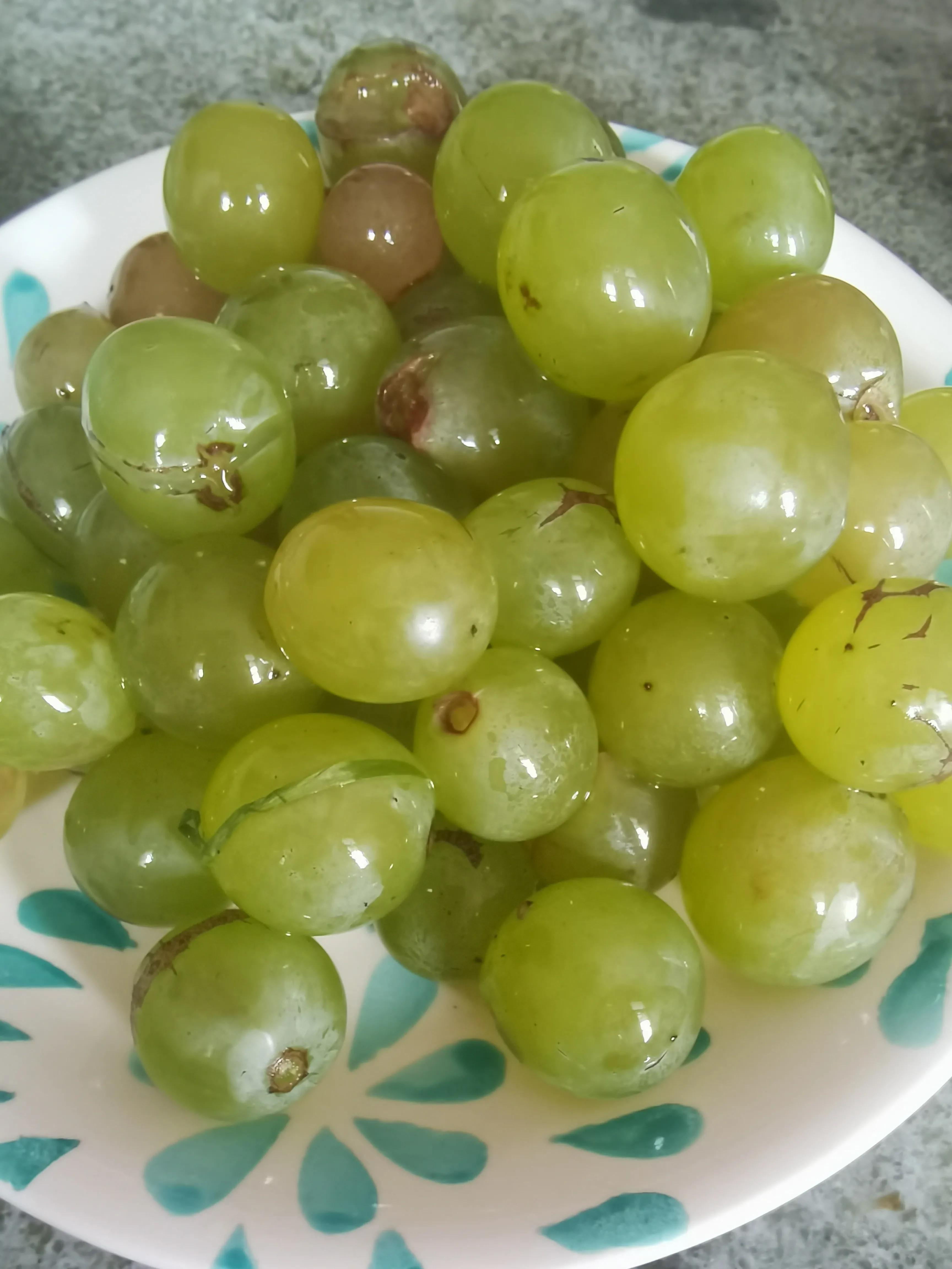 Essay (11) Grapes in Autumn - iNEWS