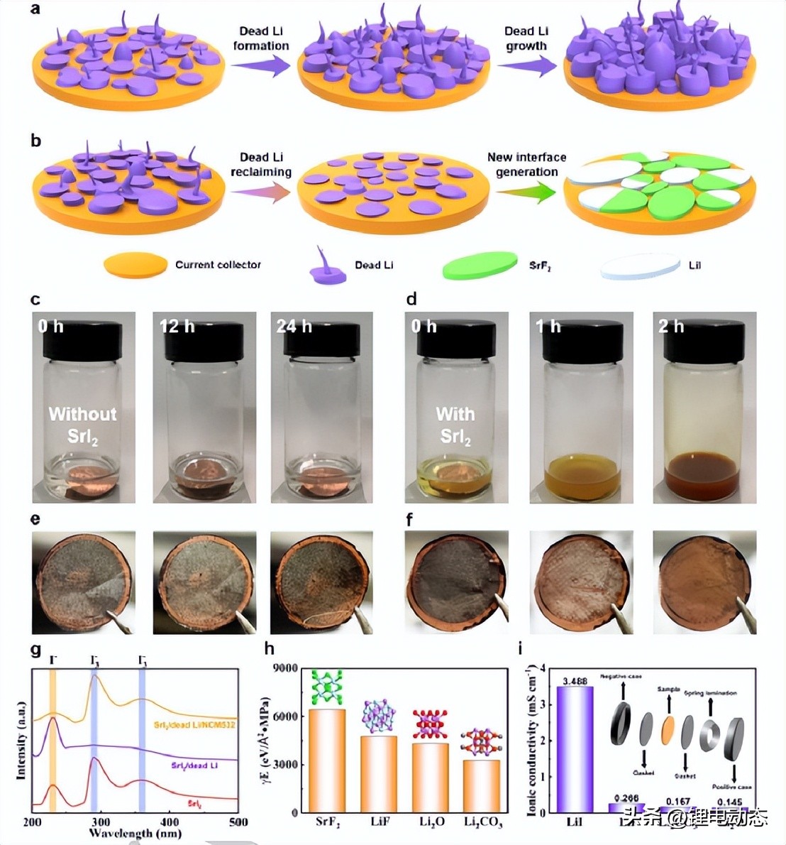 Activated by dead lithium, increasing the cycle life of anode-free ...