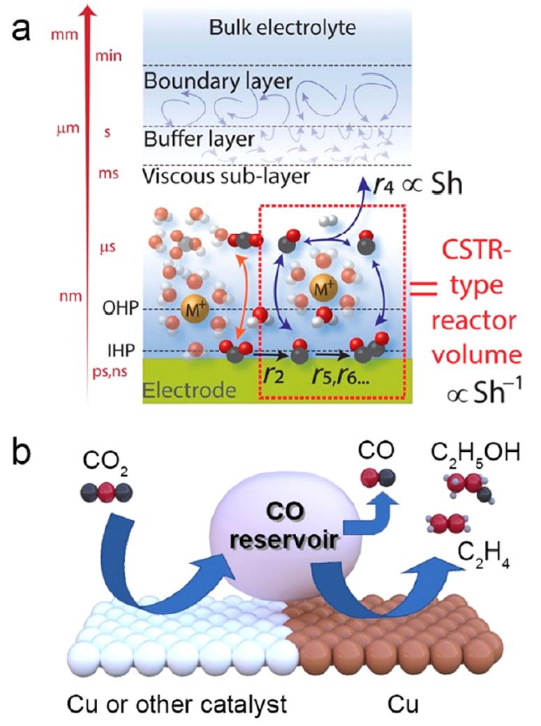 Design of Cu-based Tandem Catalyst Based on Mass Transfer Mode of CO ...
