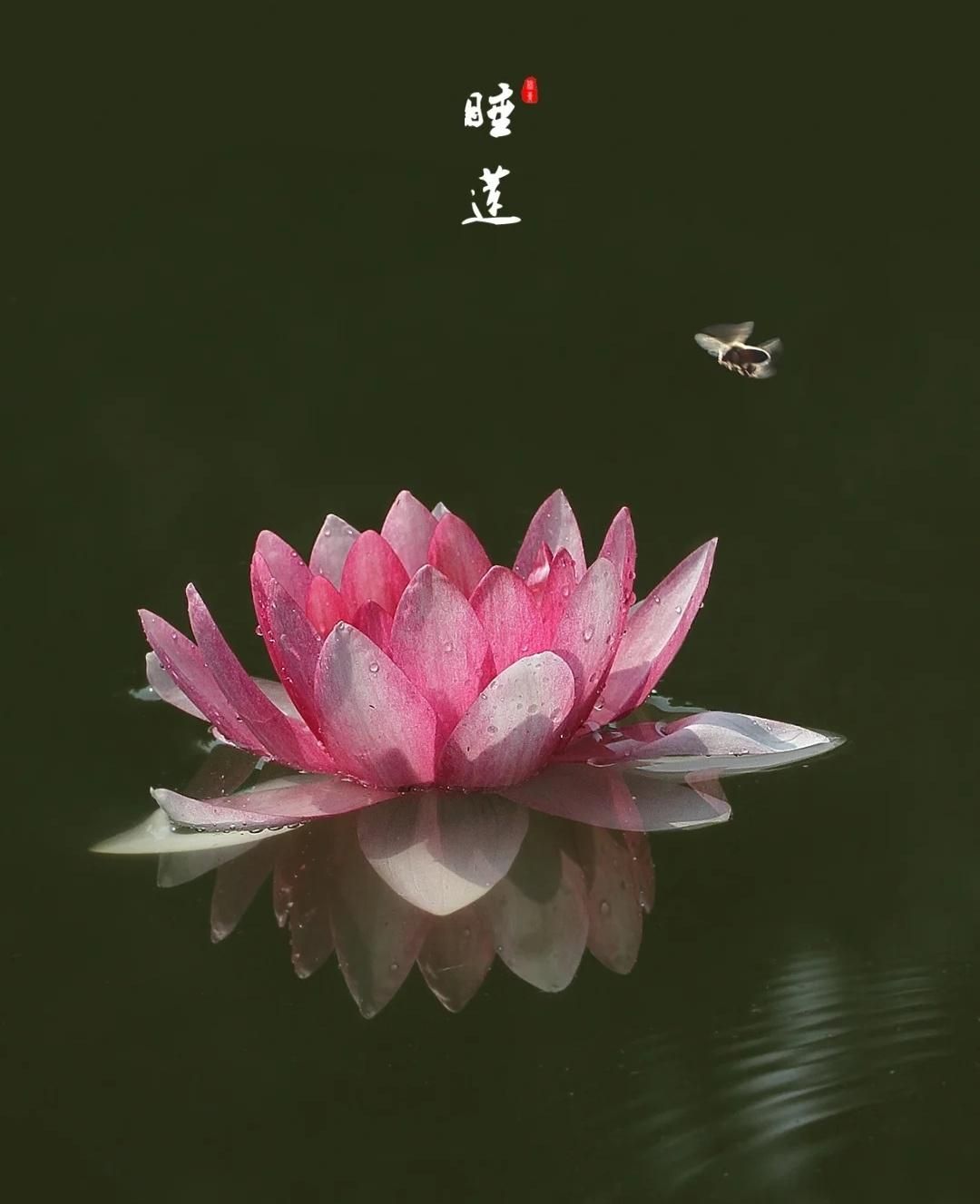 9 very classic ancient poems, each of which is magnificent and full of ...