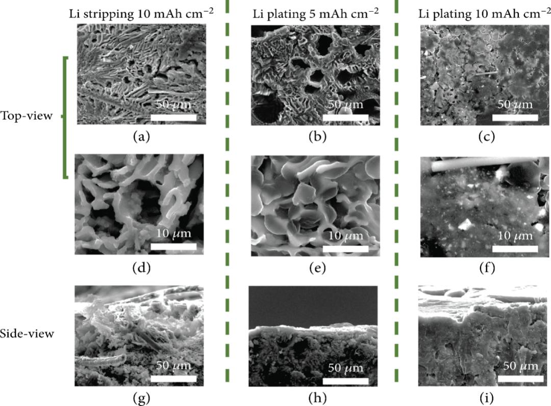 Li Jingze's team from the University of Electronic Science and ...