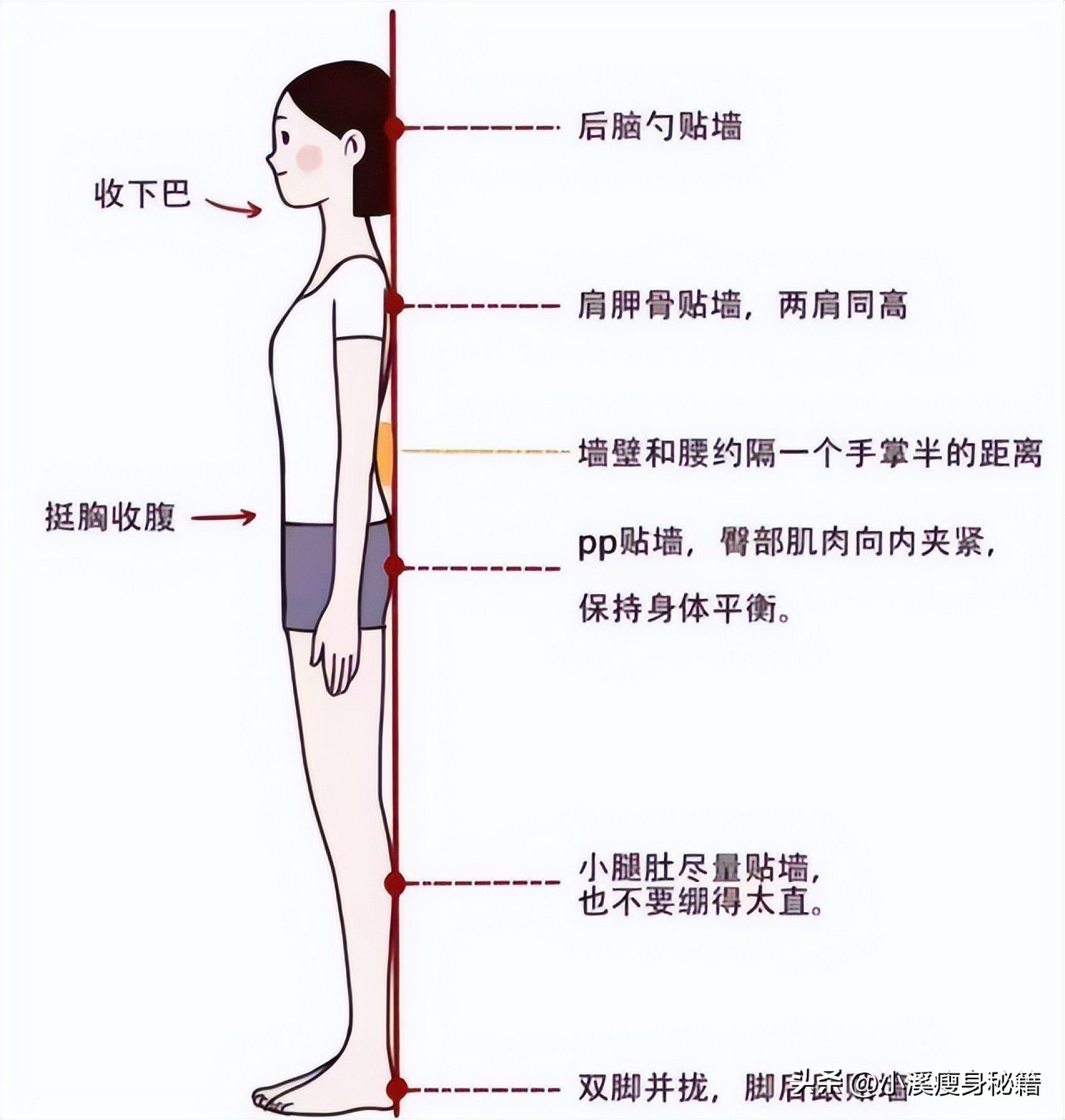When people reach middle age, their waist and hips tend to gain weight ...