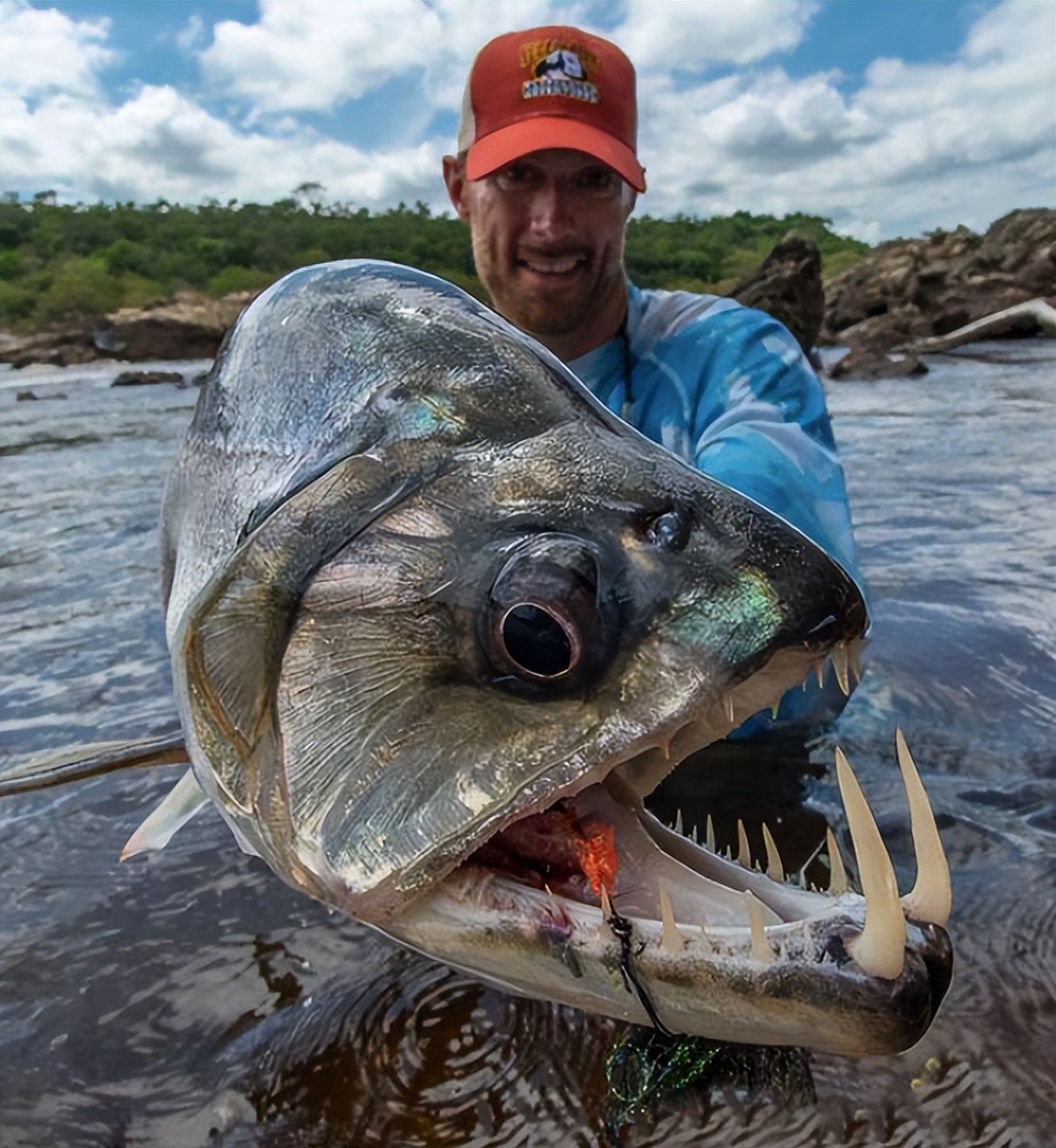 Why is the Amazon said to be a forbidden zone for humans?These 6 big ...