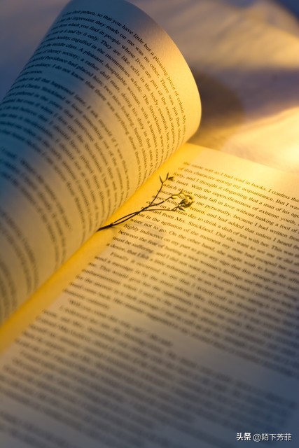 The way you read is so beautiful - iNEWS