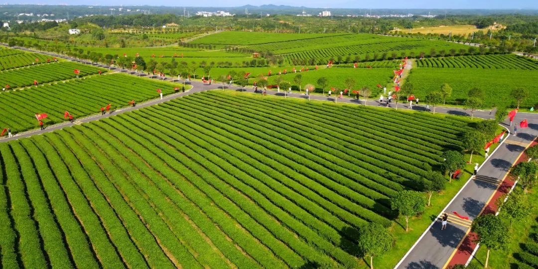 Waiting for you to go to Xianning to see the "sea" together! - iMedia