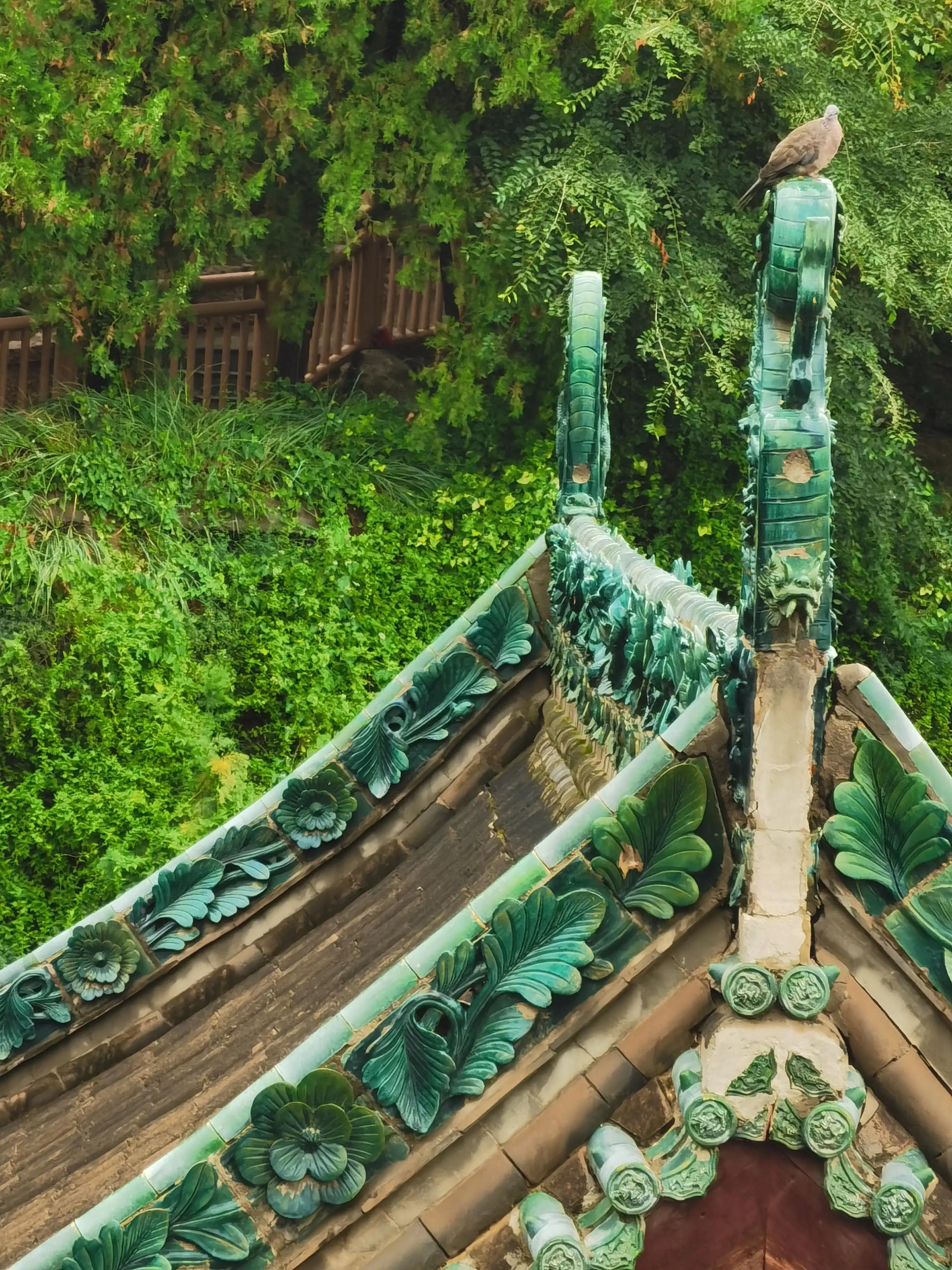 When you are old, you are old, and Lao Zhao is old Zhao. - iNEWS