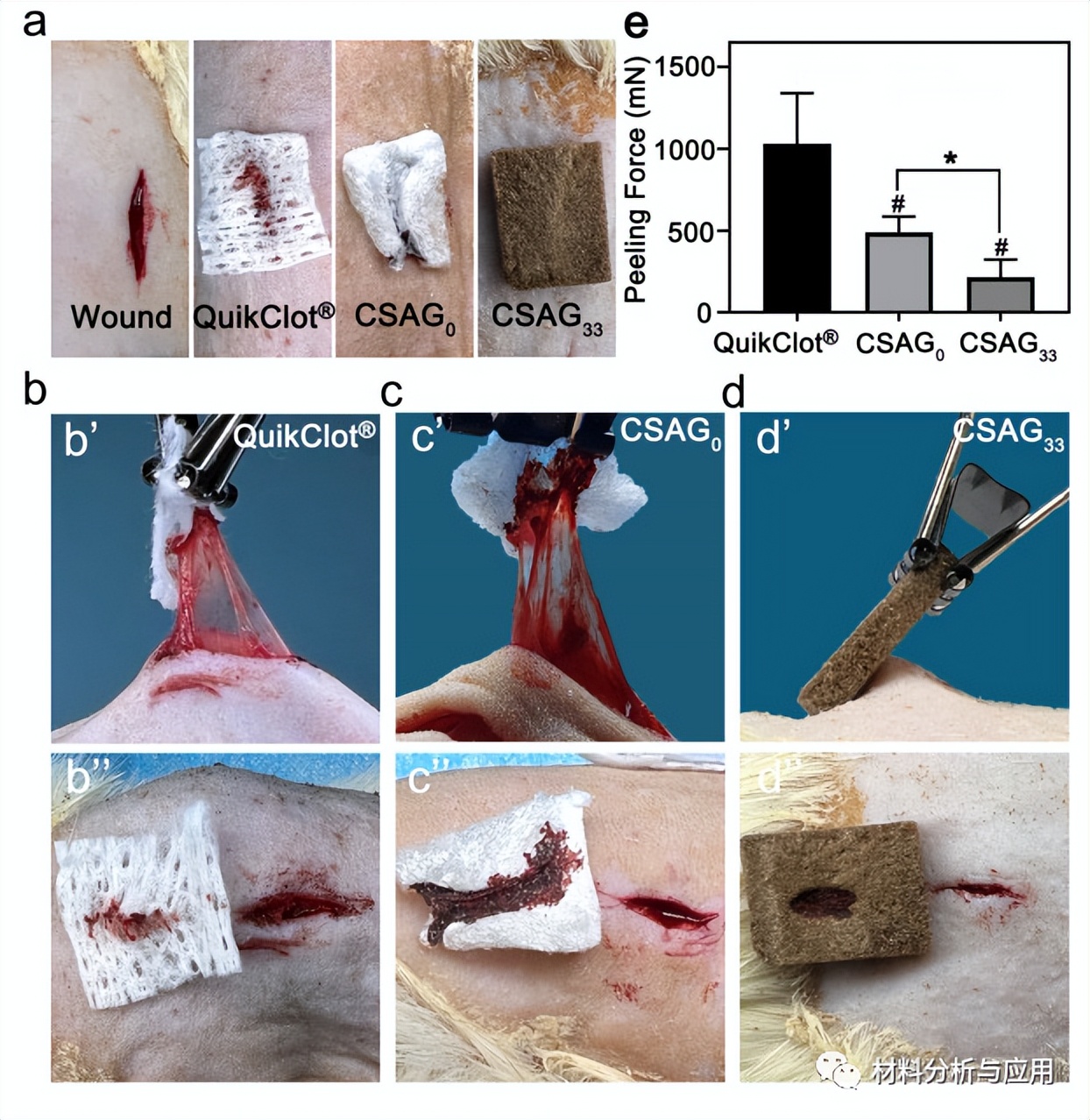 Hydrophilic chitosan/graphene composite sponge for rapid hemostasis and ...