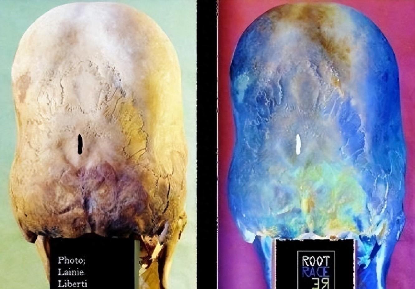 Technology restores Egyptian Pharaoh's skull, which is several times ...