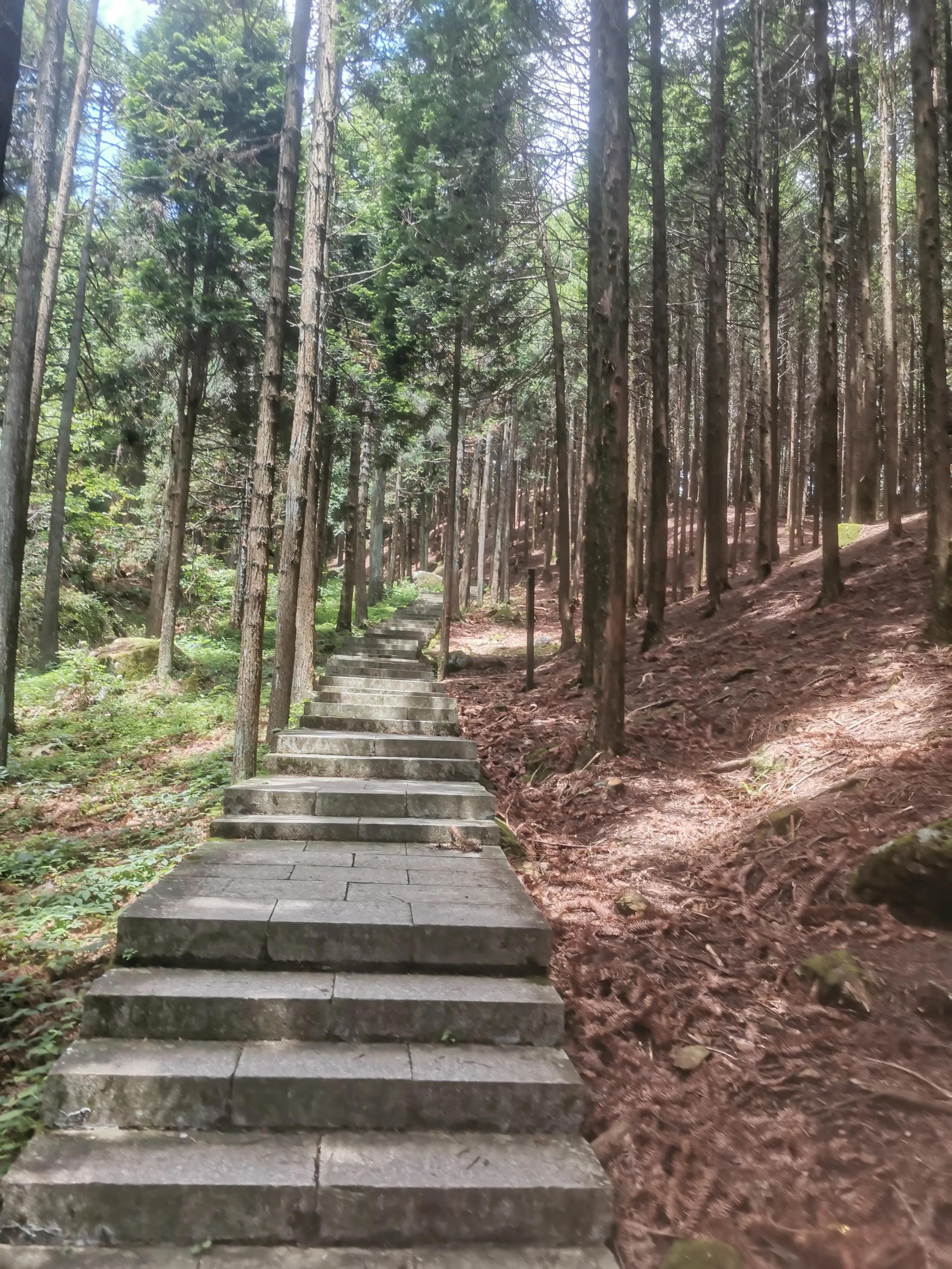 Go up to Dumwood Mountain again. - iNEWS