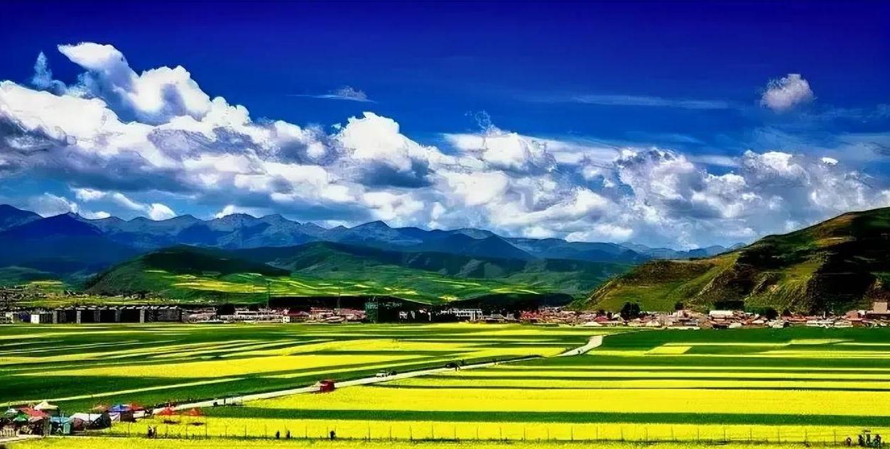 How do you view Zhang Danfeng's evaluation of Xining? - iNEWS