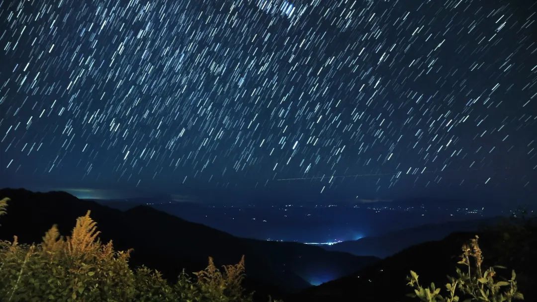[Damei Shidian]Shanzhou Forest Farm: Stars twinkle in the sky - iNEWS