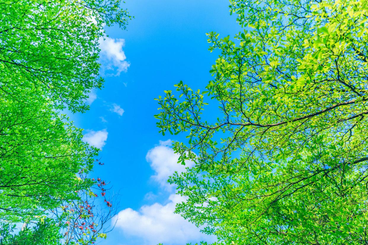 Misunderstandings and Correct Practices of Son's Rebellious Education ...