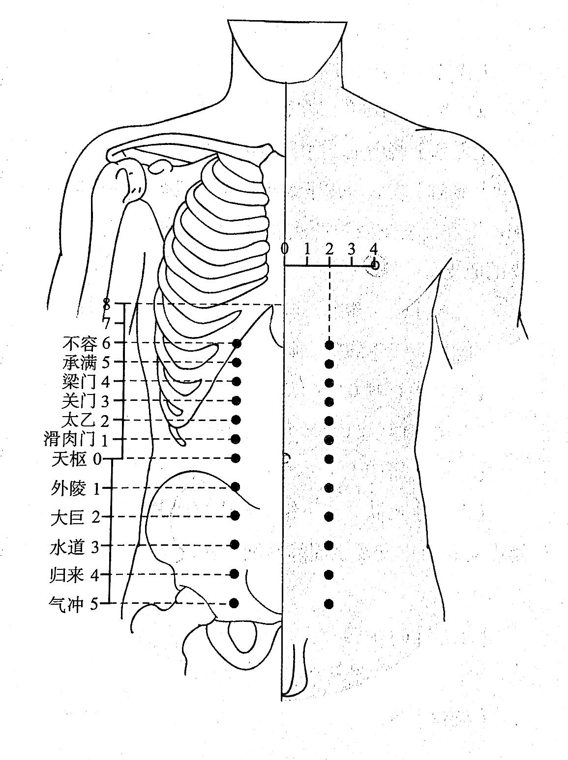 The magical effect of Tianshu point - iNEWS