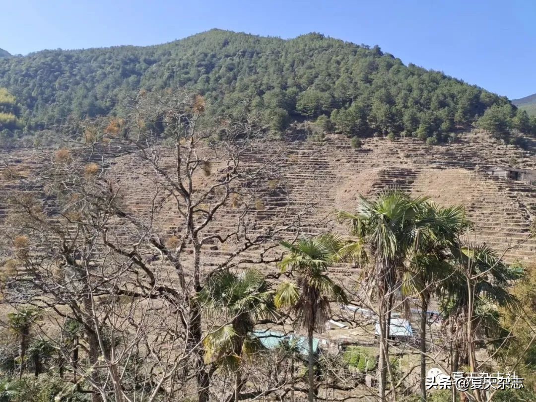 Lu Rong, One Family, Two Loyalty - iNEWS