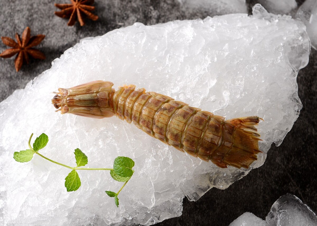 Pippi prawns are not actually shrimp!The world's largest pipi shrimp is ...