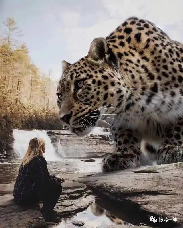 Humans are really tiny - iNEWS