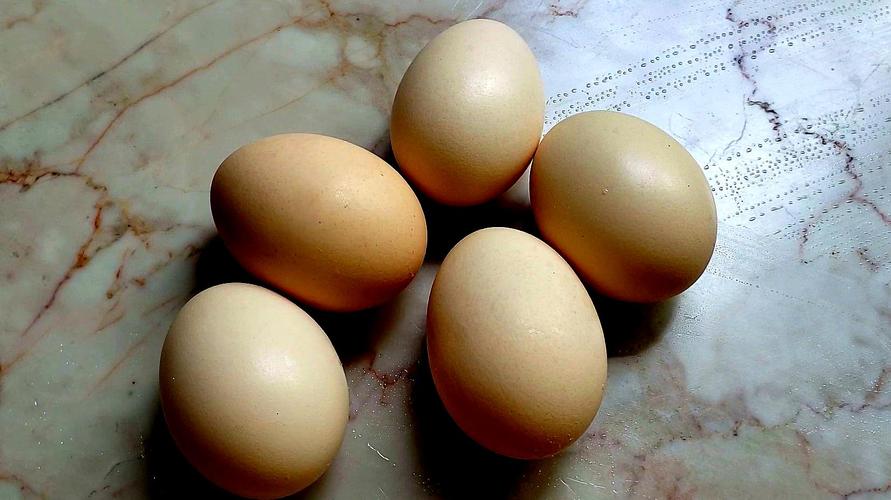 Zhejiang University Research: Eating an extra egg a day may increase ...