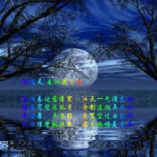 Spring River, Flowers, Moon and Night - iNEWS