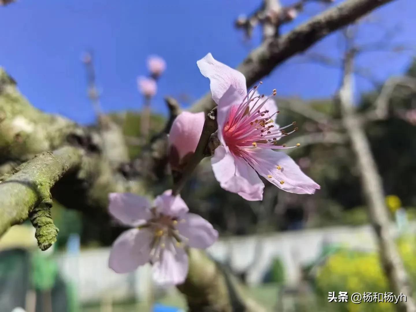 Do you know the six reading methods? - iNEWS