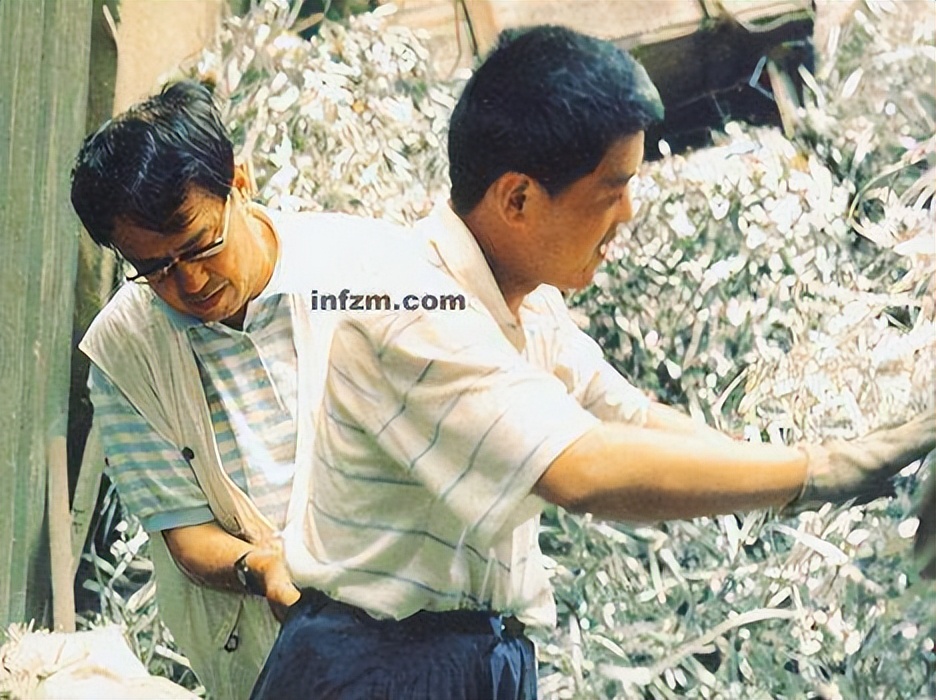 Xie Jin's past: Xie Jin was worried about this son - iMedia