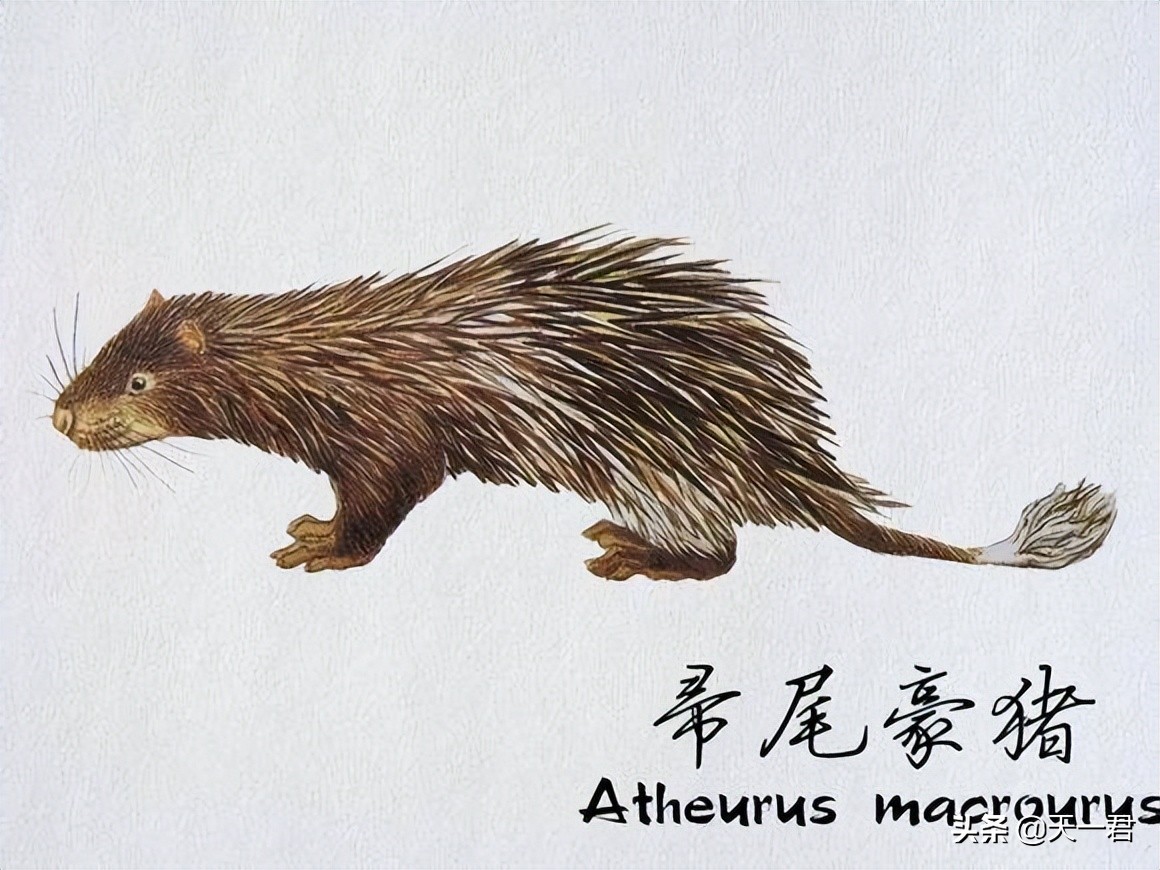 Alien beasts in myths and legends - Meng Huai - iNEWS