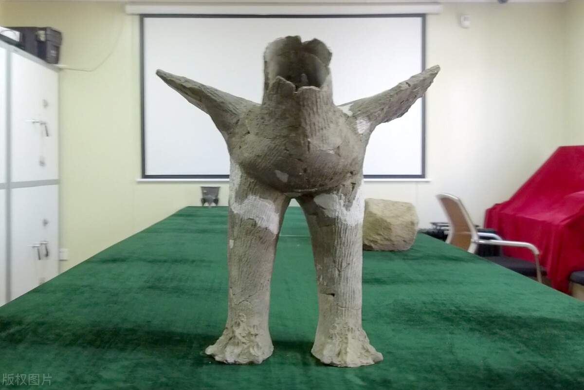 How was the Shimao site, which has been dormant for more than 4,000 ...
