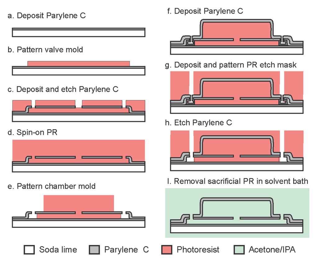 Liquid Encapsulation in Parylene Microstructures Using Integrated ...