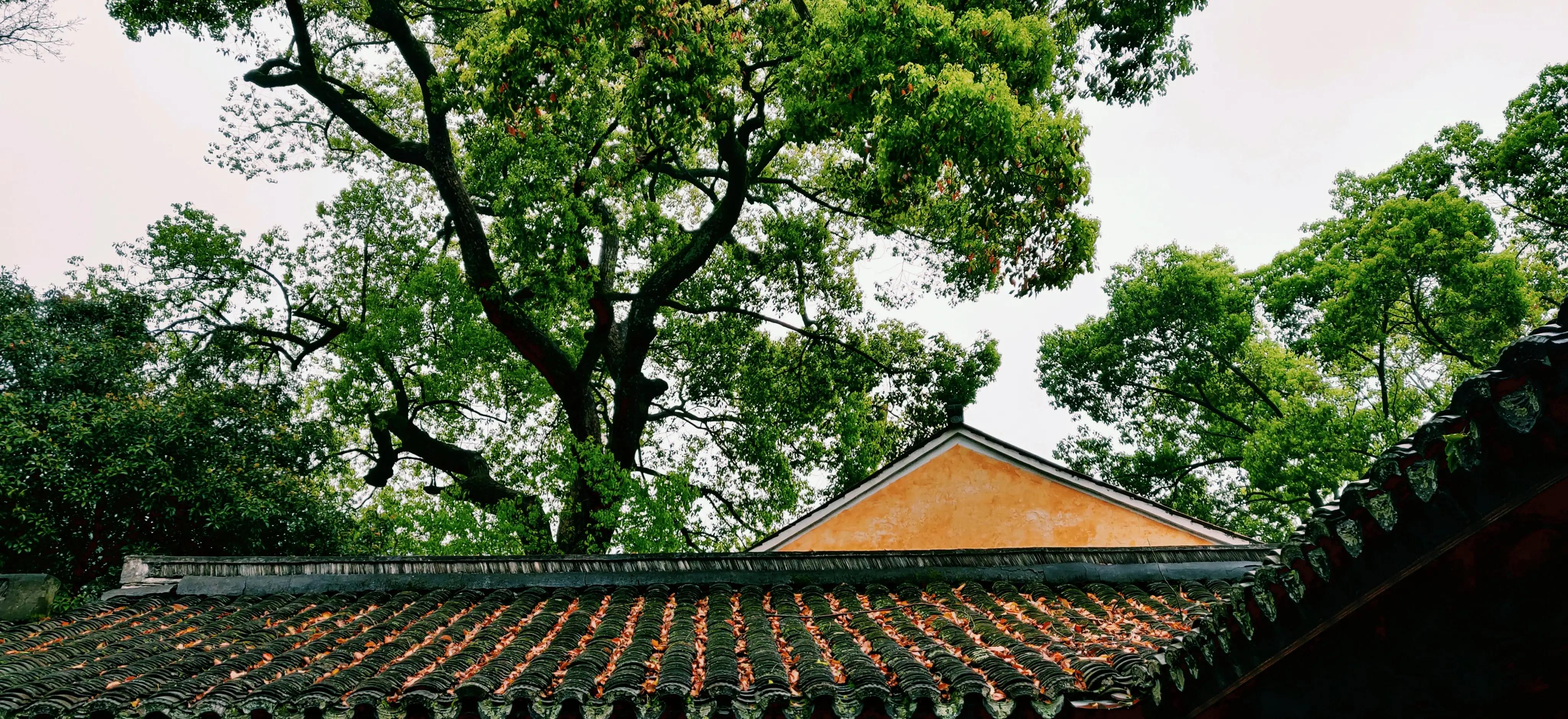 The Twelve Hours of the Temple · The Zen Gate Gradually Gradually - iNEWS