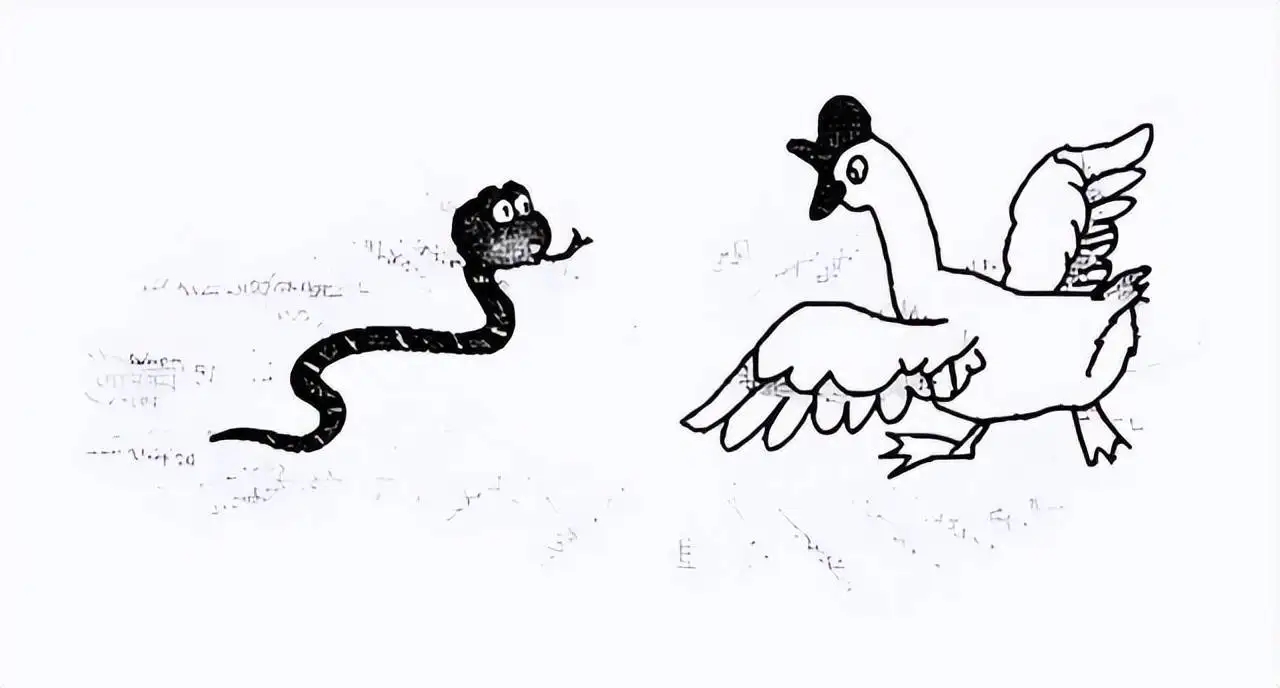 Why are carnivorous snakes afraid of vegetarian geese?As long as there ...