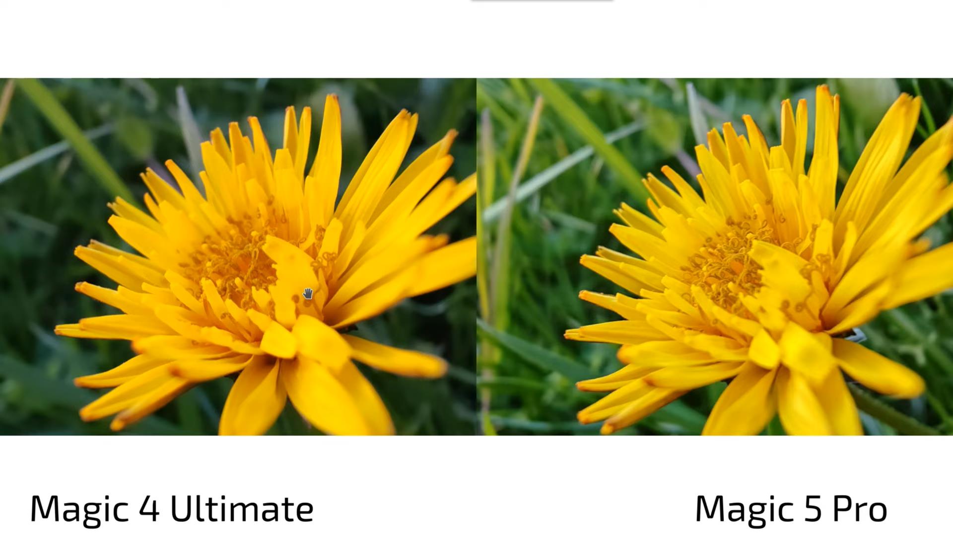 Real shot comparison between Honor Magic 4 and Magic 5 Pro: both are 50 ...
