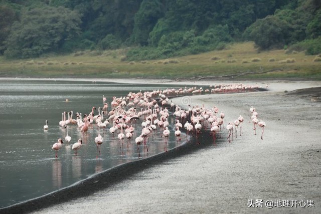 East African Rift Valley - the world's longest rift valley - iMedia