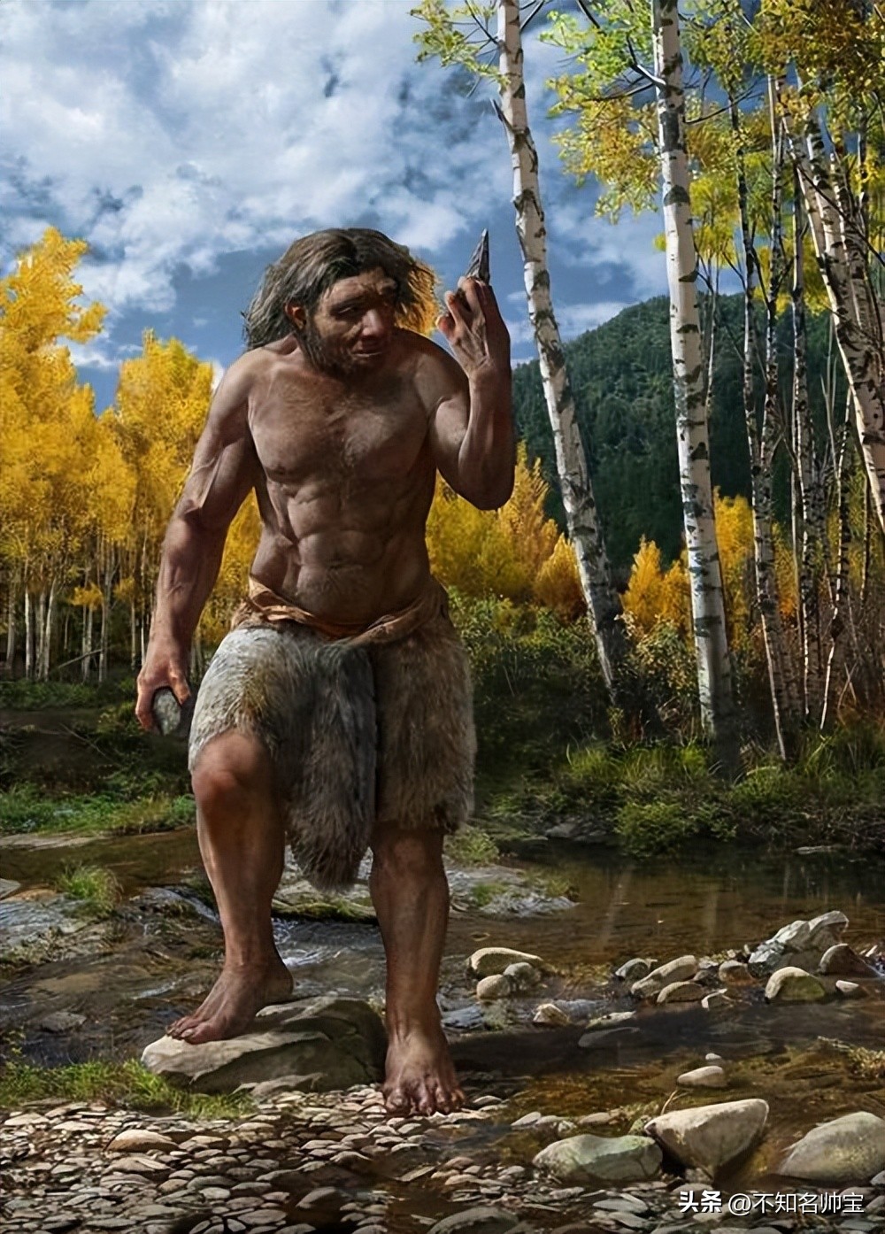 The origin, appearance and culture of Neanderthals and their extinction ...