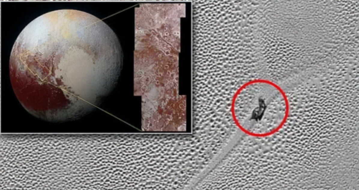 Pluto discovered a "giant snail", a creature 100 million times larger ...