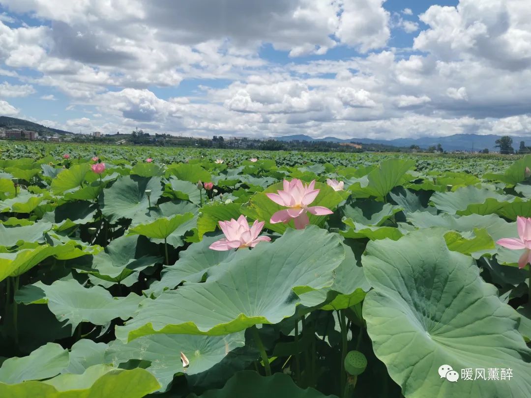 Go to Jianshui City to play slowly - iNEWS