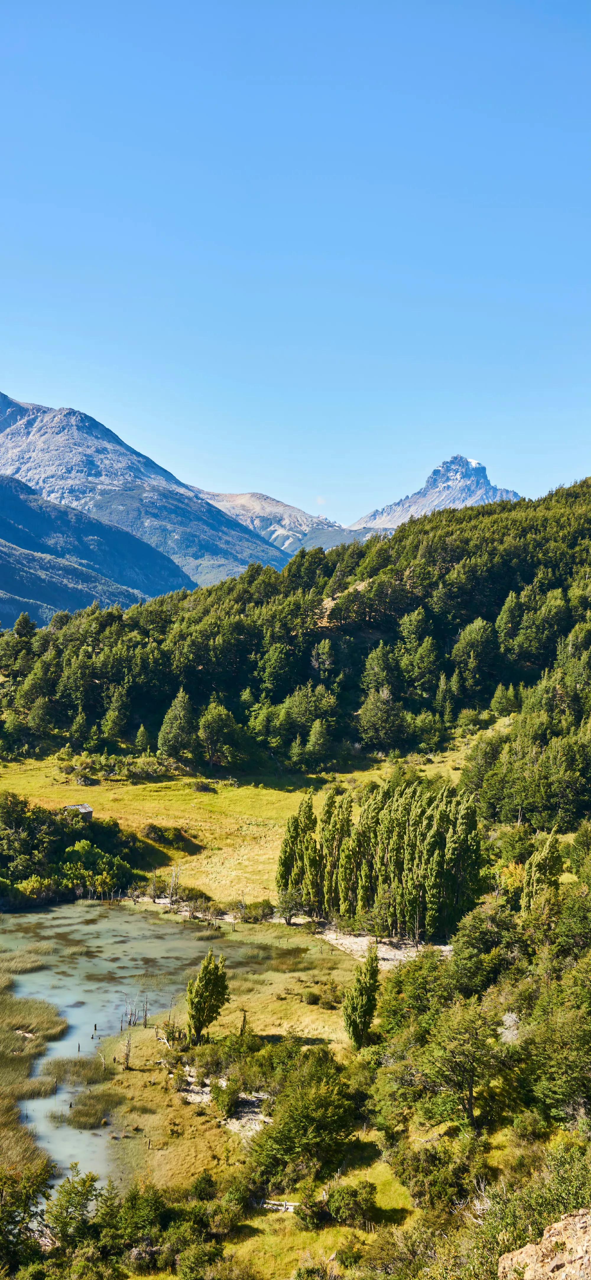 Read five beautiful poems, may you and I be safe in fleeting years, and ...