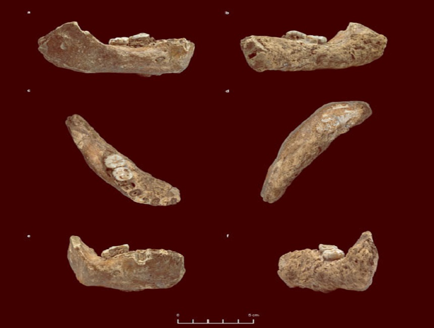 A 220,000-year-old handprint was discovered on the Qinghai-Tibet ...