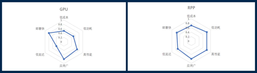 RPP "Hexagonal Warrior" Processor: Combining the advantages of NPU and ...