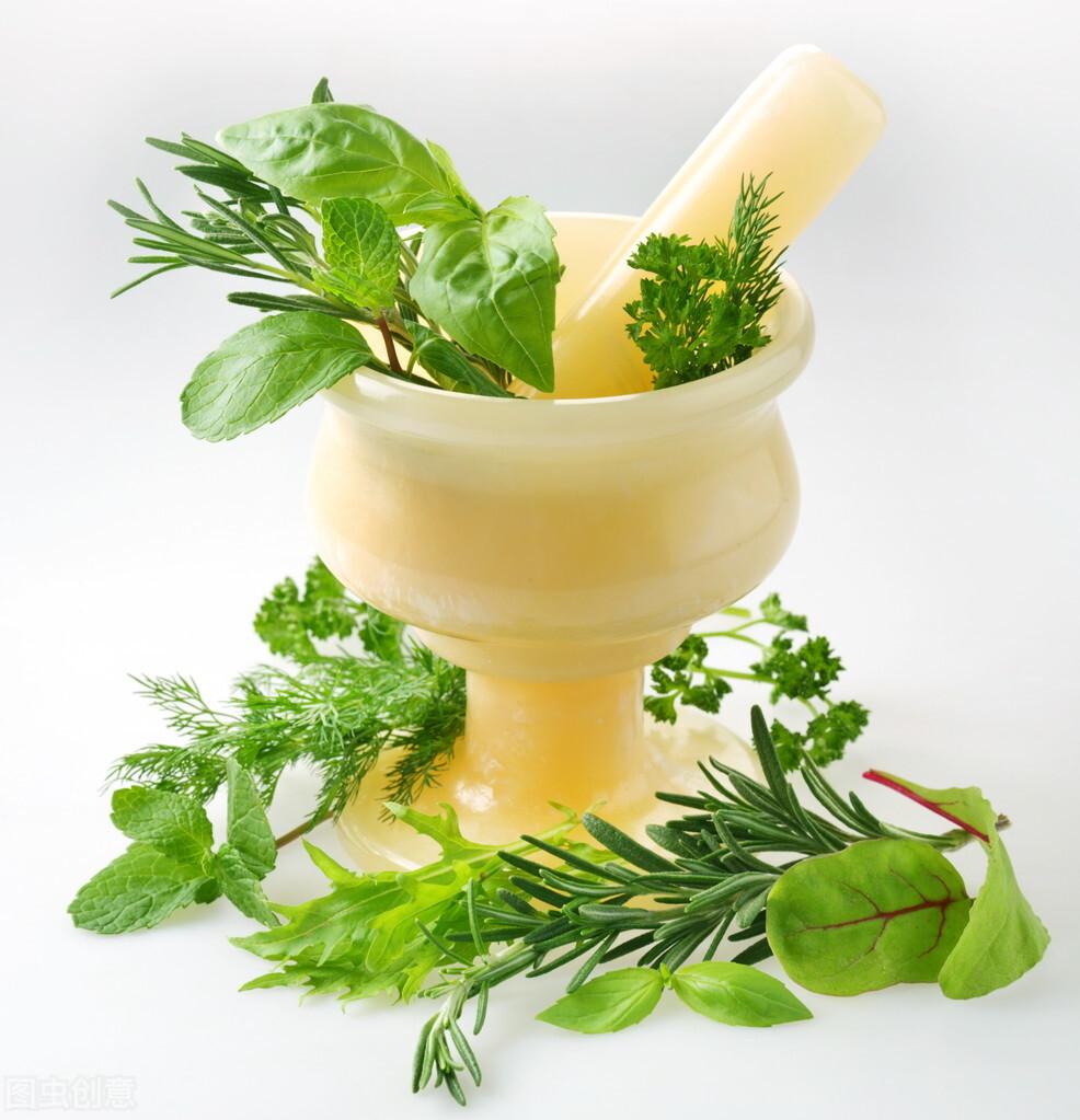 Moon Palace Rabbit Shadow - iNEWS