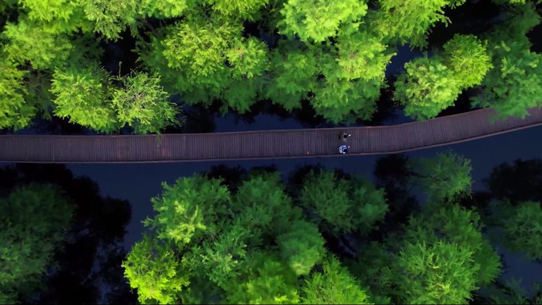 expect! Zhang Guoli, Hua Shao, and Wang Zhengliang visited Lin'an ...