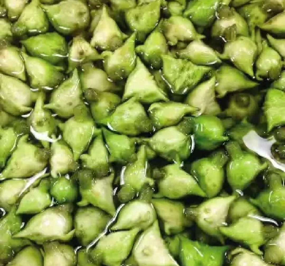 Water chestnut, an aquatic plant that can be seen everywhere, was once ...