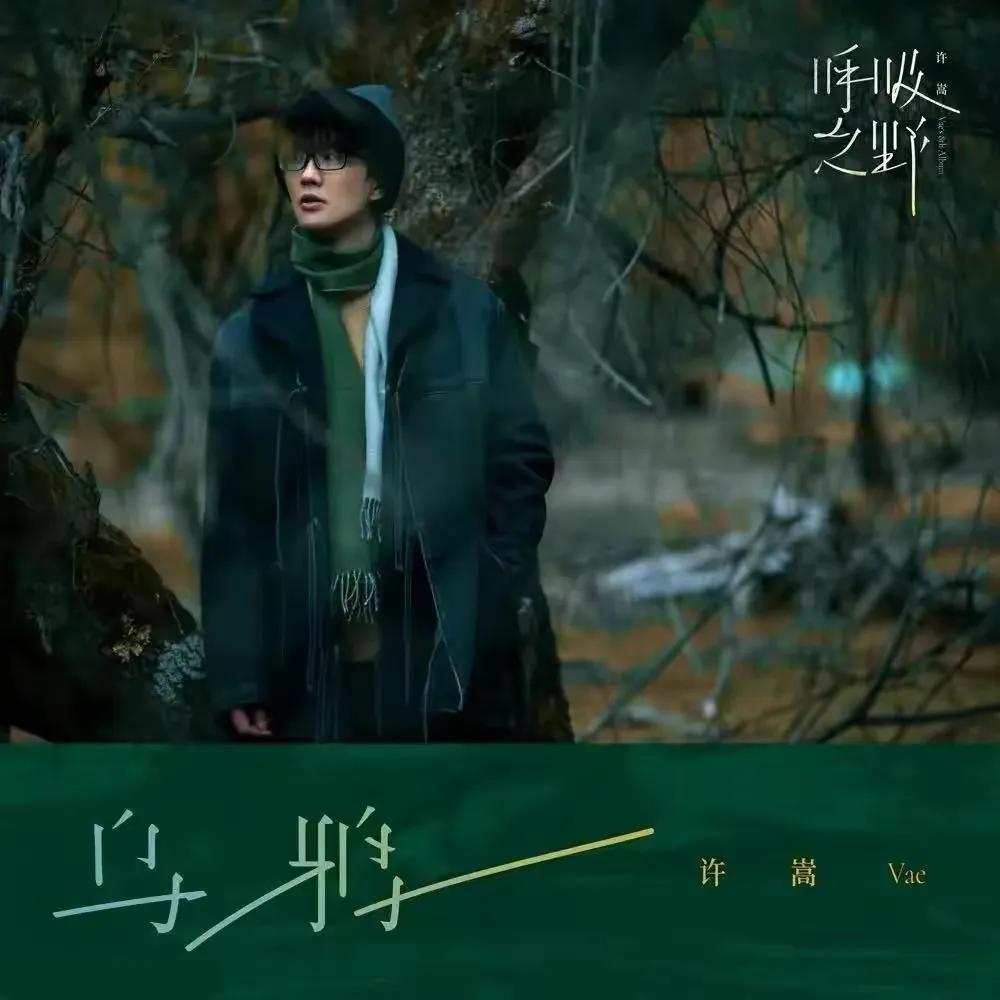 Xu Song - a rare musical literati in the music world - iNEWS