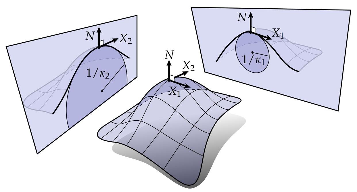 The Mystery of Surfaces: Demystifying Gaussian Curvature and Differential Geometry - iNEWS