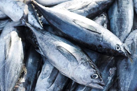 Why do Chinese people not like canned tuna? - iMedia