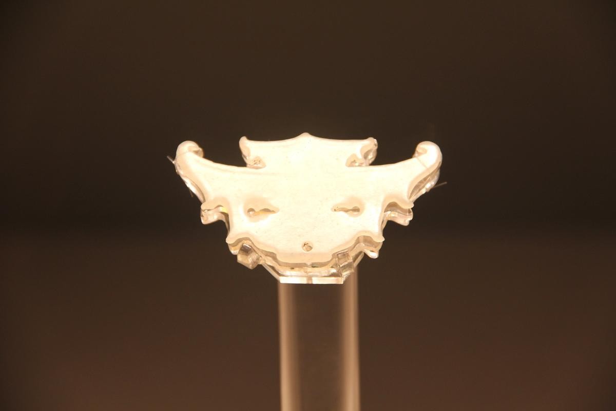 Analysis of Taosi Culture: Treasure of Ancient Chinese Civilization ...