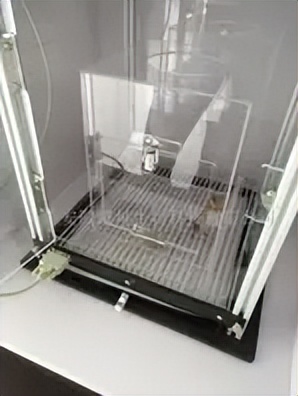 Fear video analysis system of rat and mouse scene - embedded single ...