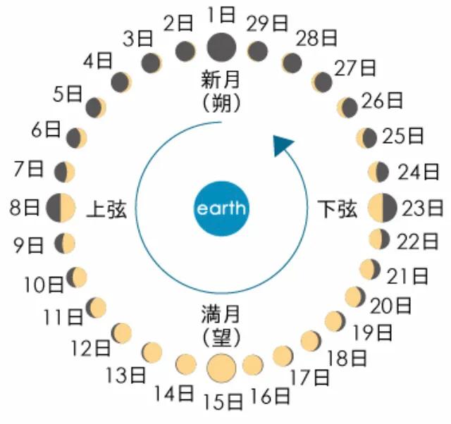 Why is December in the lunar calendar called "twelfth lunar month"? - iNEWS