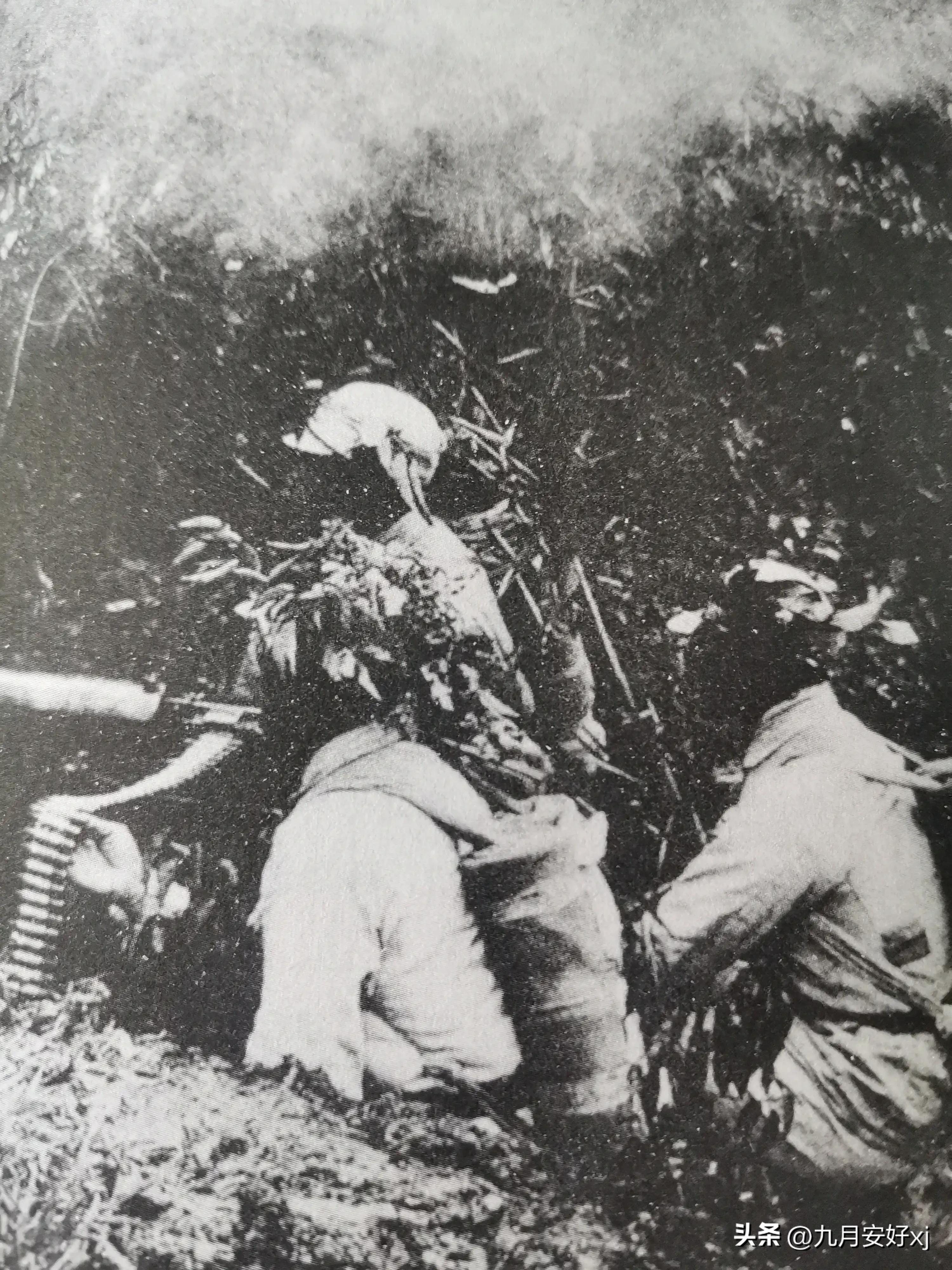 The Second Battle of Changsha (Part 1) - iNEWS