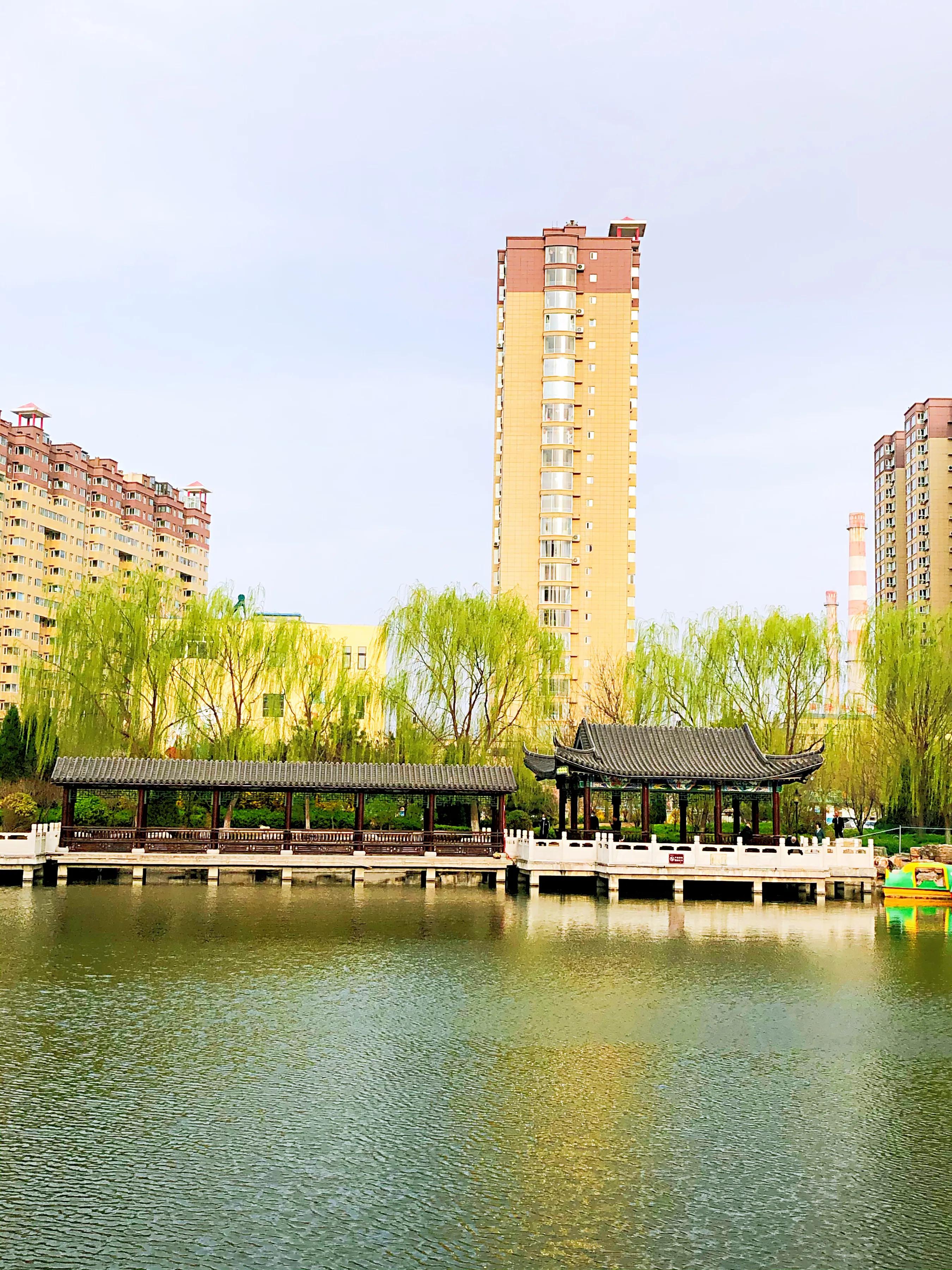 Spring City is full of flying flowers~ Spring in Yuanping City, Shanxi ...