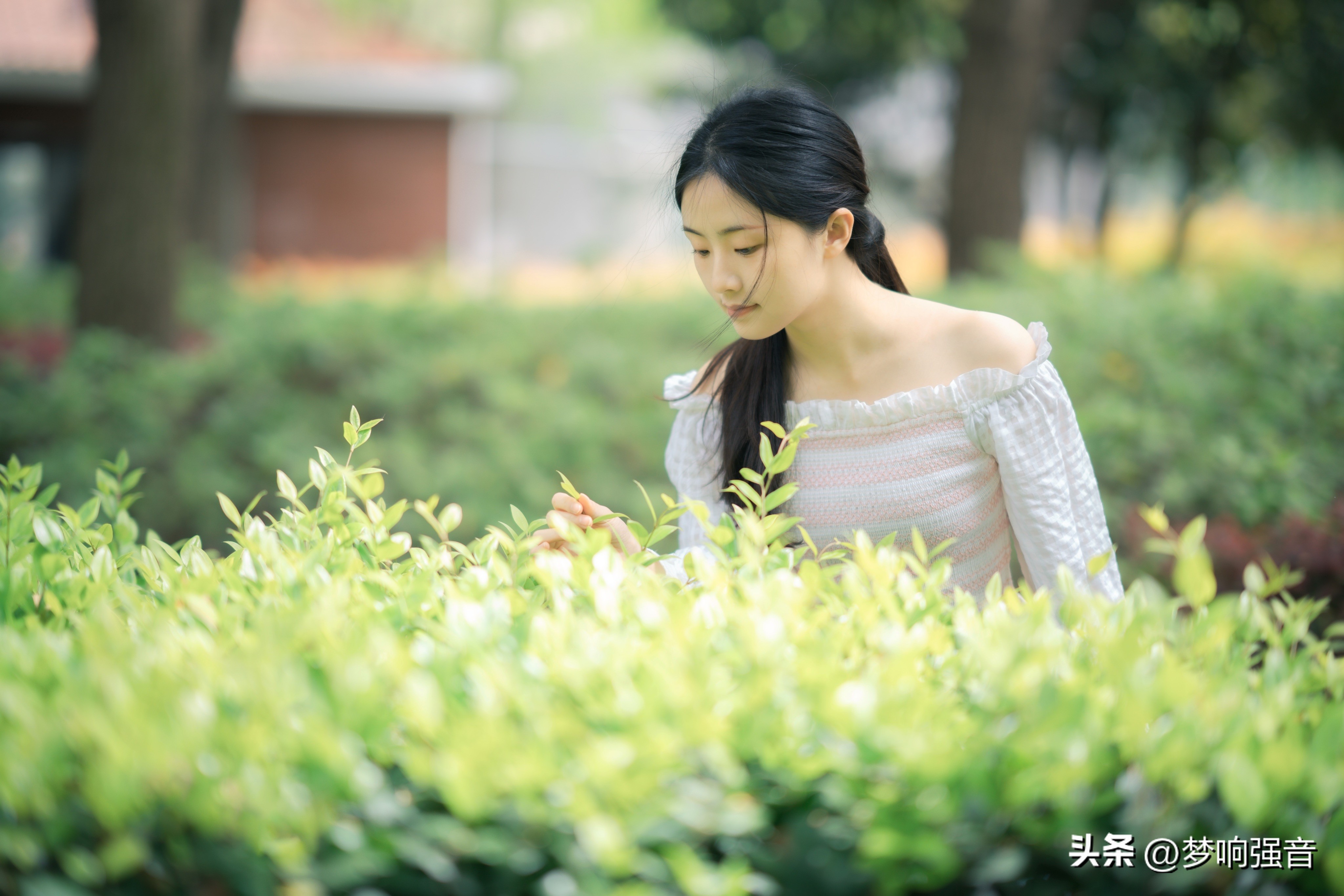 Guo Qin's 2023 "Spring Accompanying" music project "Drunken Prosperity ...